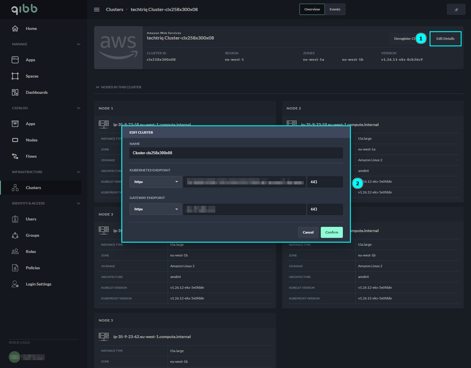 Editing Cluster Details